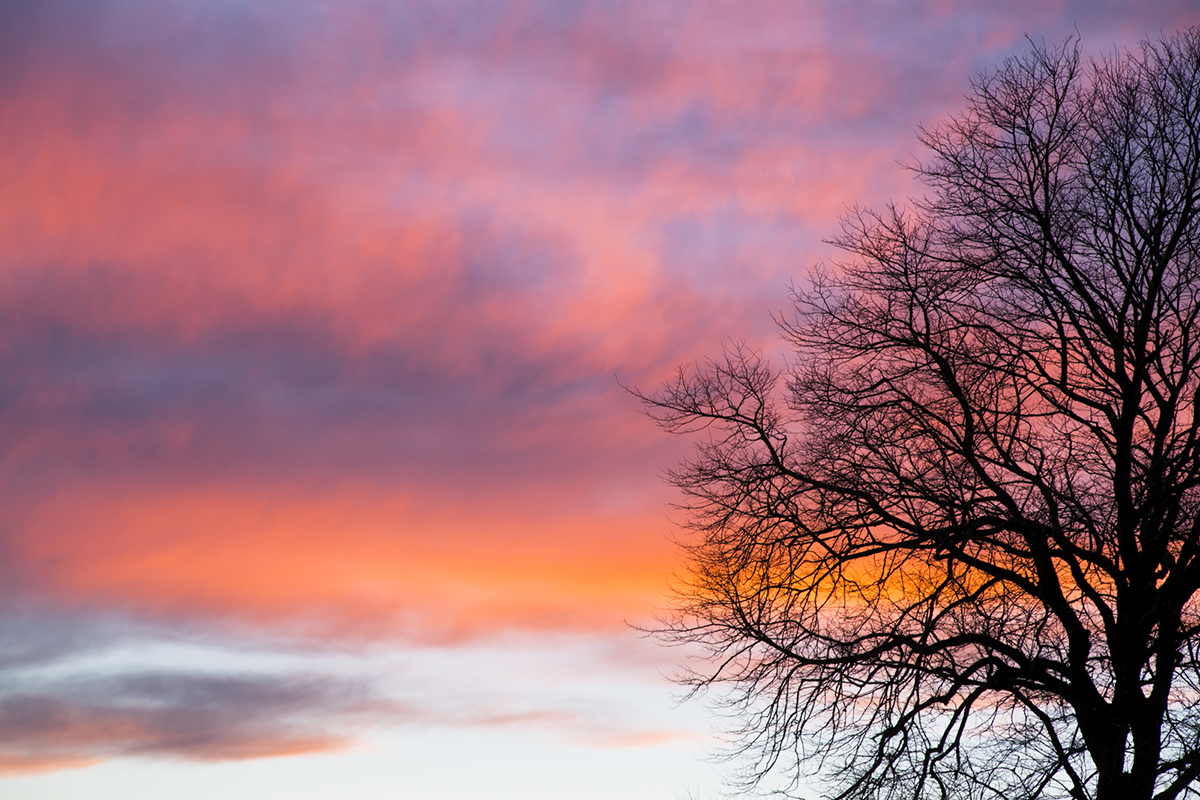 Skyscapes Archives - Tony Cobley